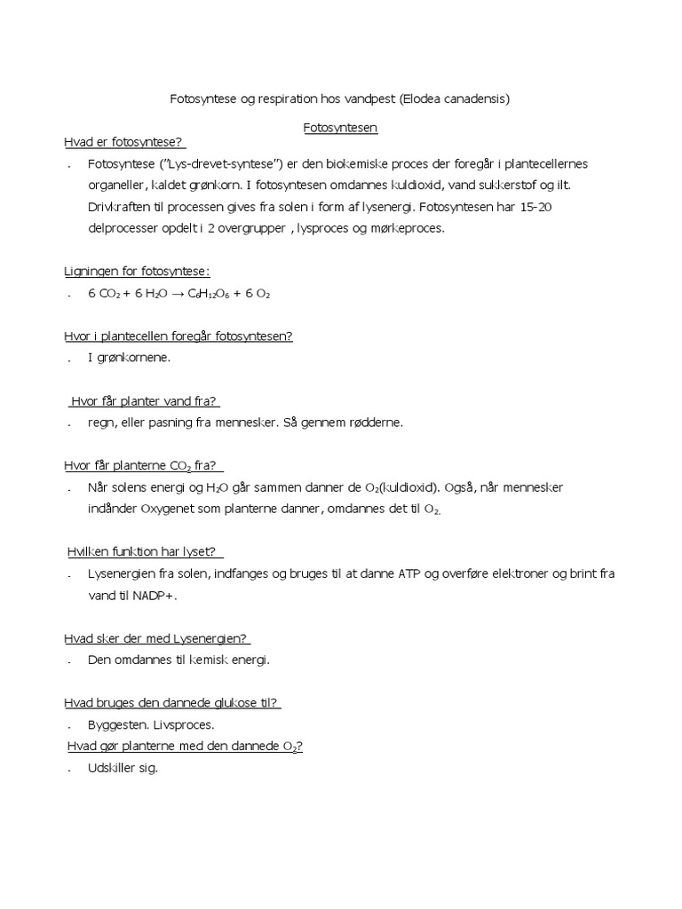 Fotosyntese Og Respiration Hos Vandpest | PDF