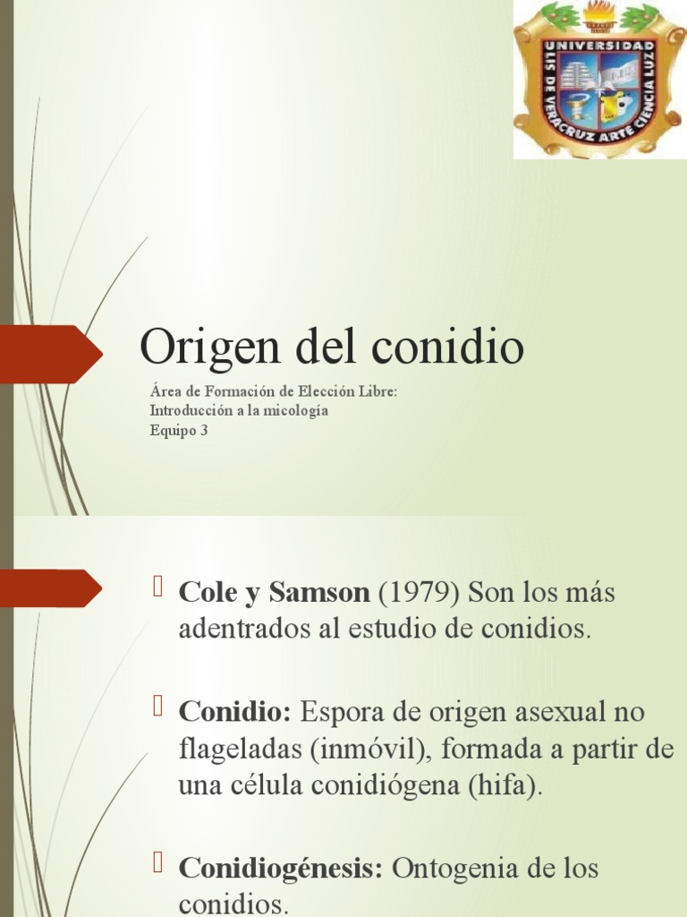 Conidios | PDF
