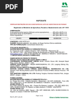 REGENT 800 WG Bula Rev05 05.06.2019 | PDF | Embalagem e rotulagem ...