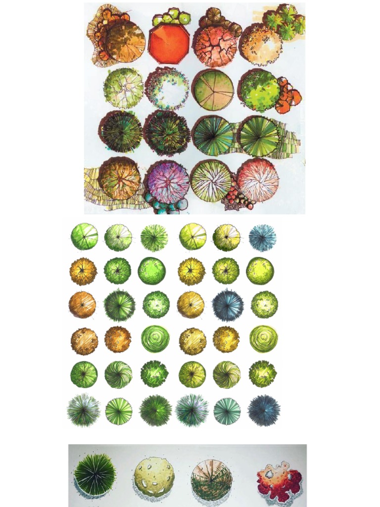 Architectural Trees - Visual Techniques 3 | PDF