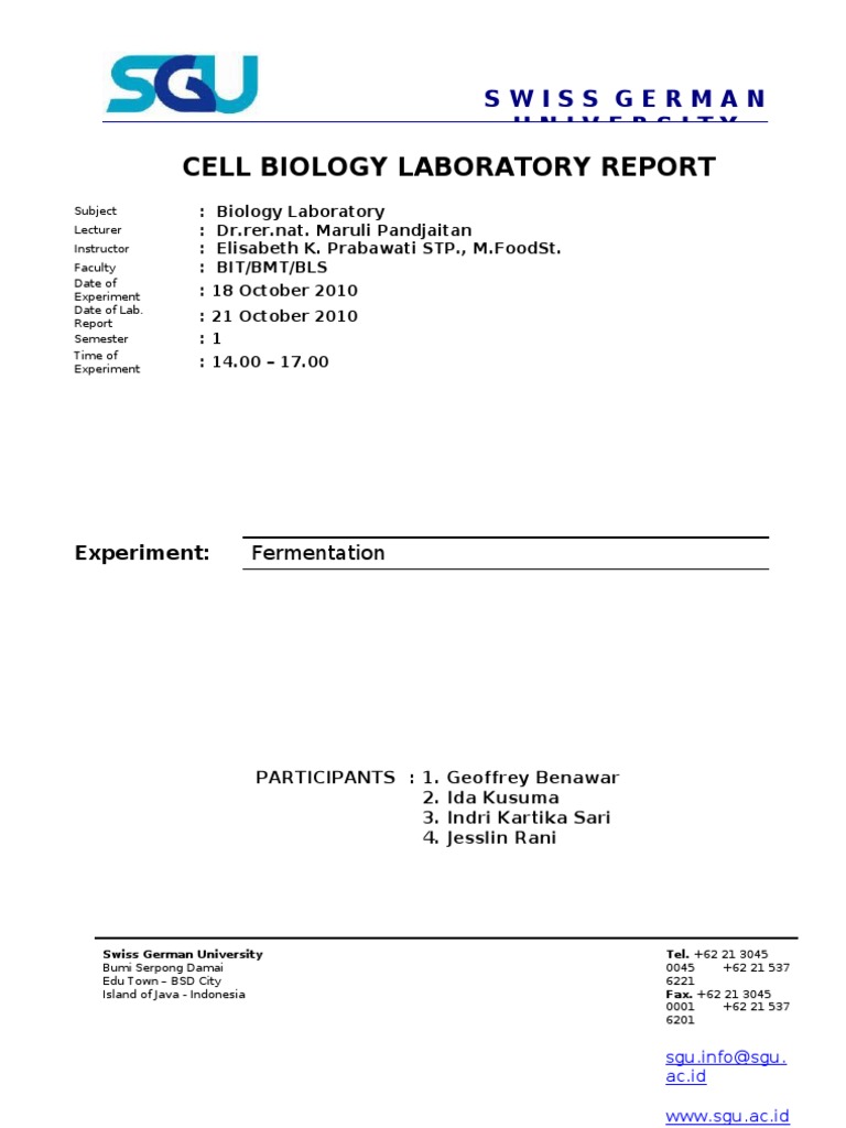 Yeast Fermentation Experiment Report | PDF | Fermentation | Glucose