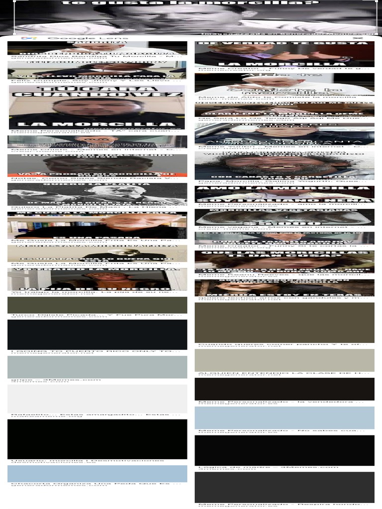 Memes de Morcilla - Búsqueda de Google | PDF