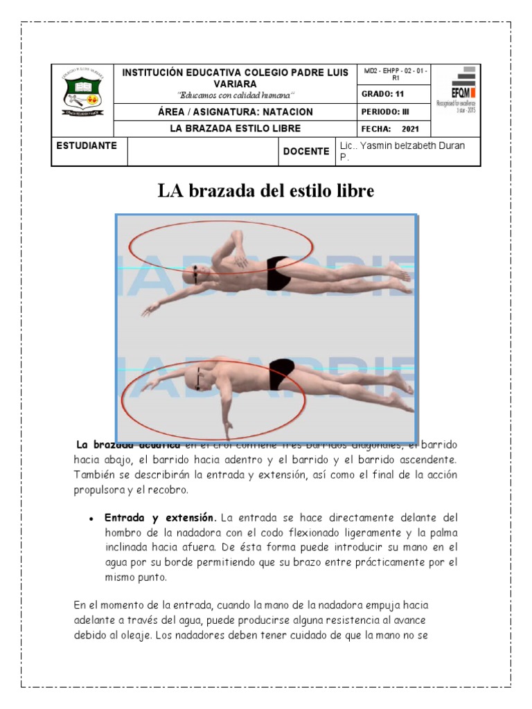 LA Brazada Del Estilo Libre | PDF | Codo | Nadando