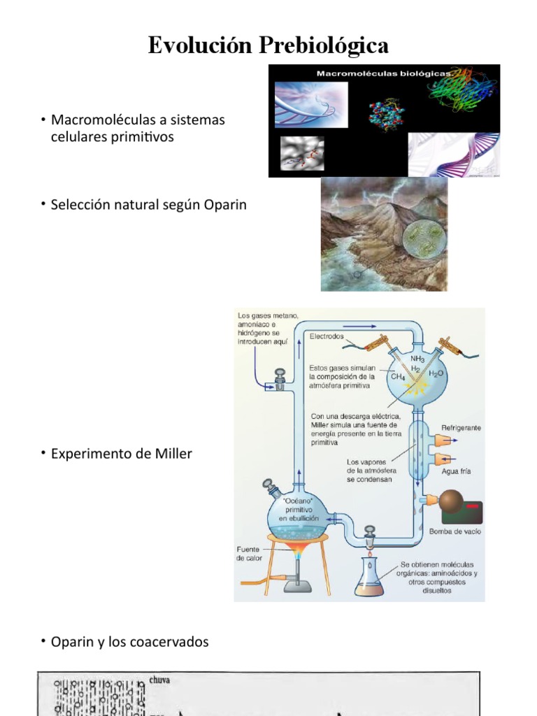 Evolución Prebiológica | PDF