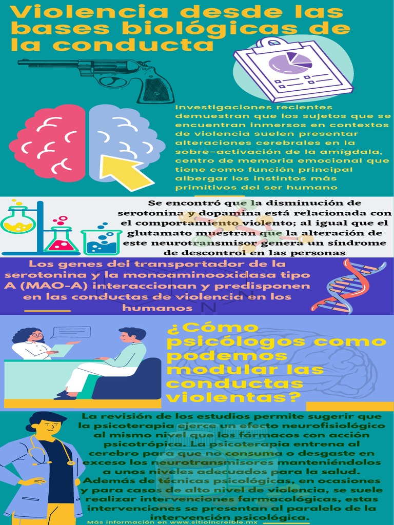 BBC Infografía | PDF