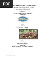 Cúrcuma y Palillo: Origen y Propiedades | PDF | Cúrcuma