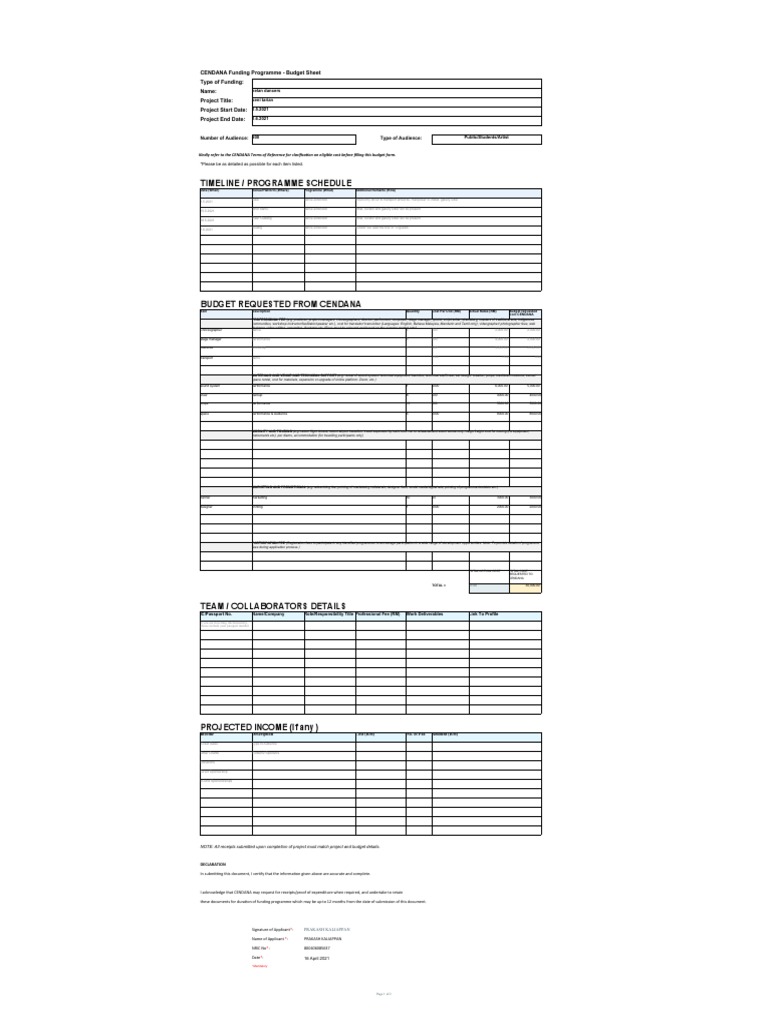 Papf Budget Template | PDF | Online Advertising | Communication