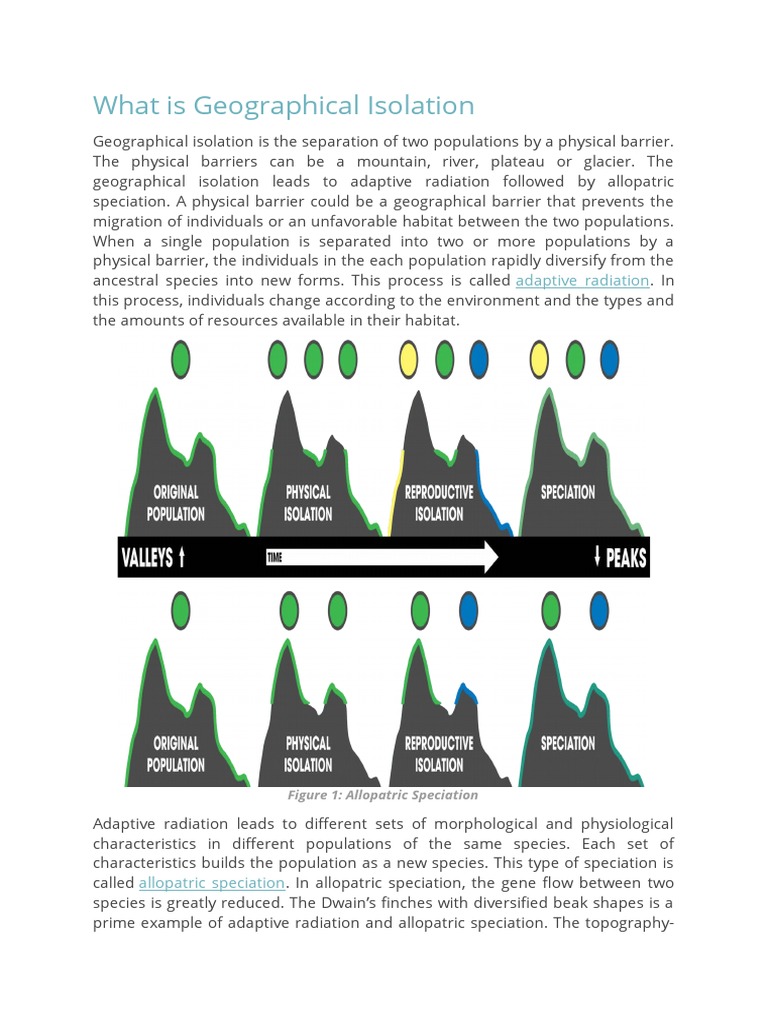 The Mechanisms of Geographical and Reproductive Isolation: A Comparison ...