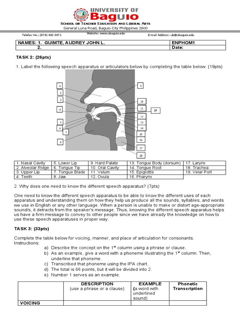 Lesson 4 Worksheet | PDF | Phonetics | Human Throat