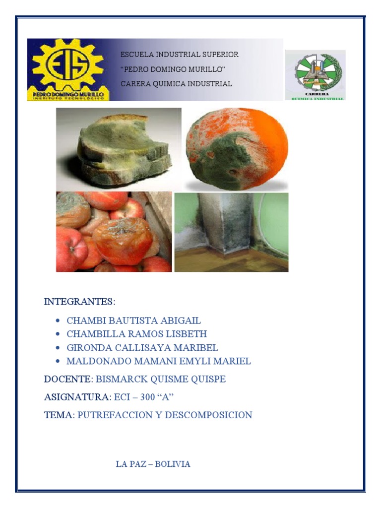 Putrefaccion y Descomposicion | PDF | Descomposición | Química