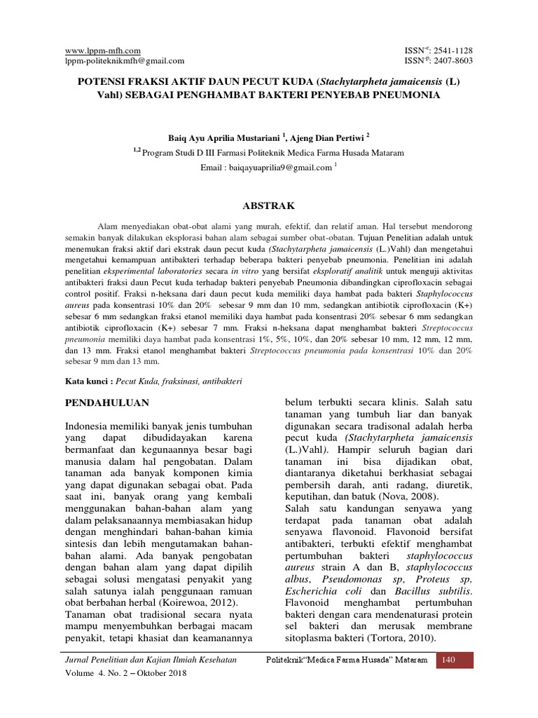 Jurnal Pecut Kuda Baiq Ayu | PDF