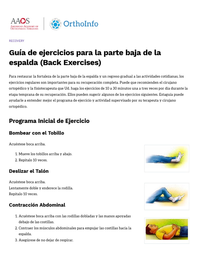 Guía de Ejercicios para La Parte Baja de La Espalda (Back Exercises ...
