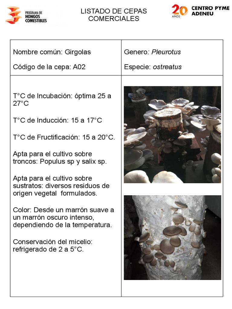 Cepas Laboratorio | PDF | Hongo | Micología