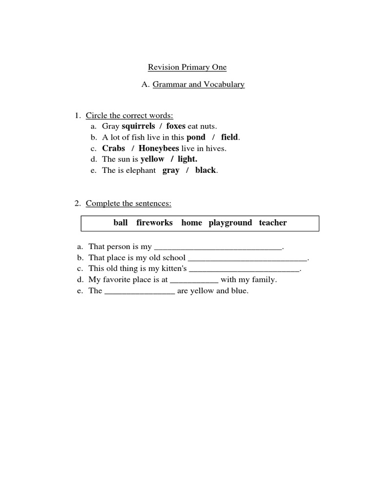 Primary One English Revision Questions | PDF