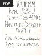 PNB NEFT RTGS Form PDF Download | PDF