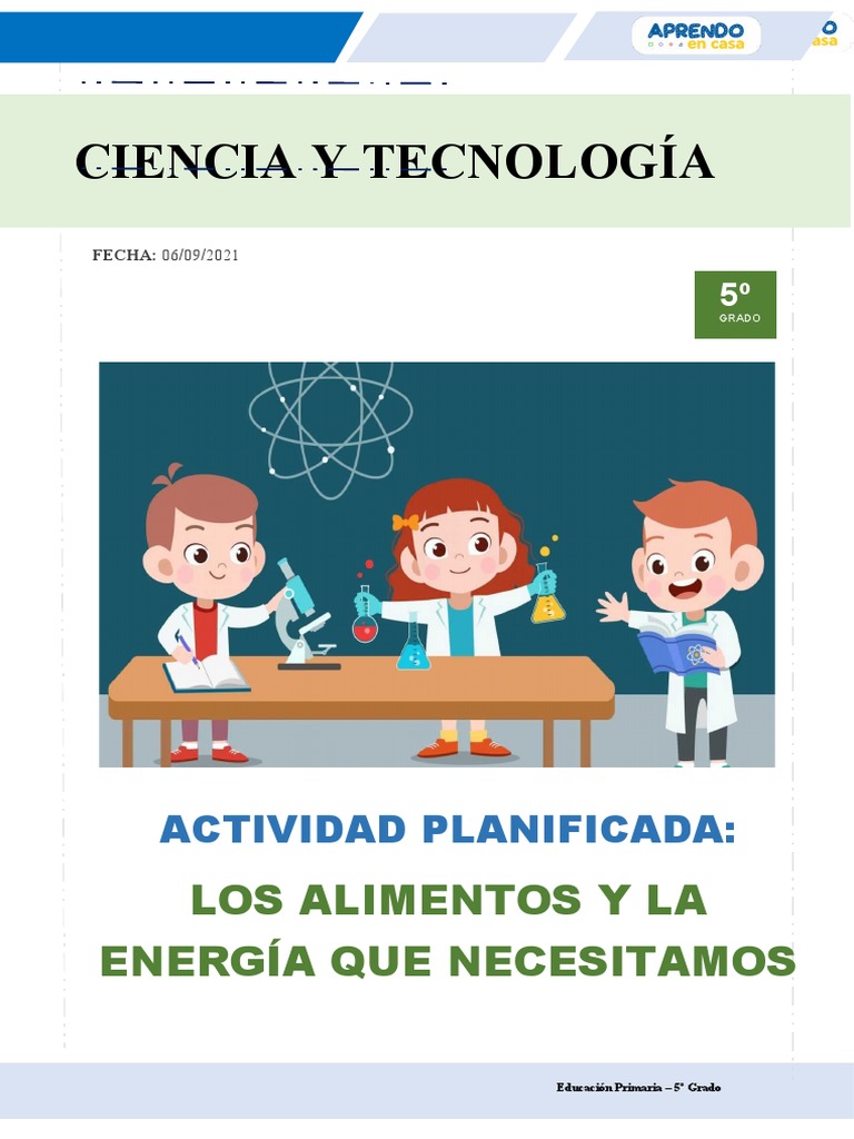 Alimentos y Energía en 5º Grado | PDF | Aprendizaje | Carbohidratos
