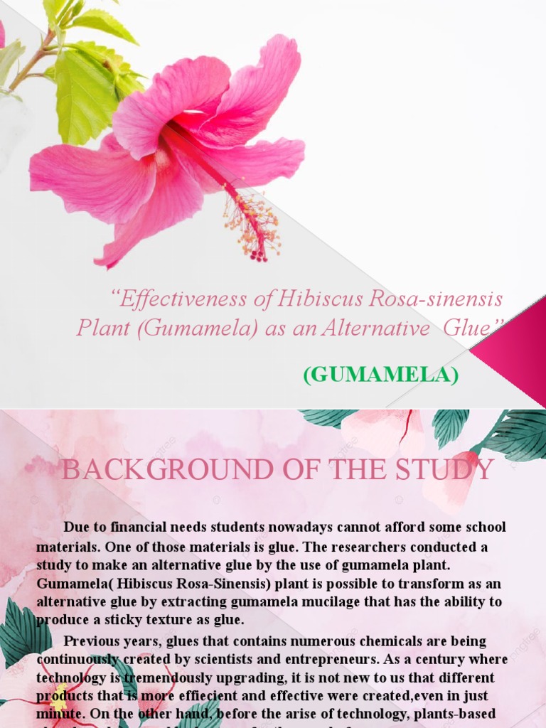 Presentation For Dry Run | PDF