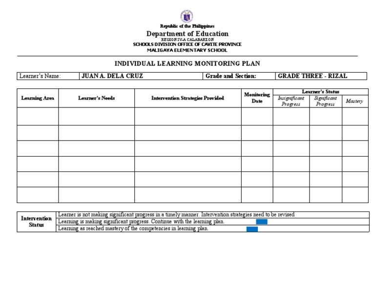 Editable Template Individual Learning Monitoring Plan | PDF