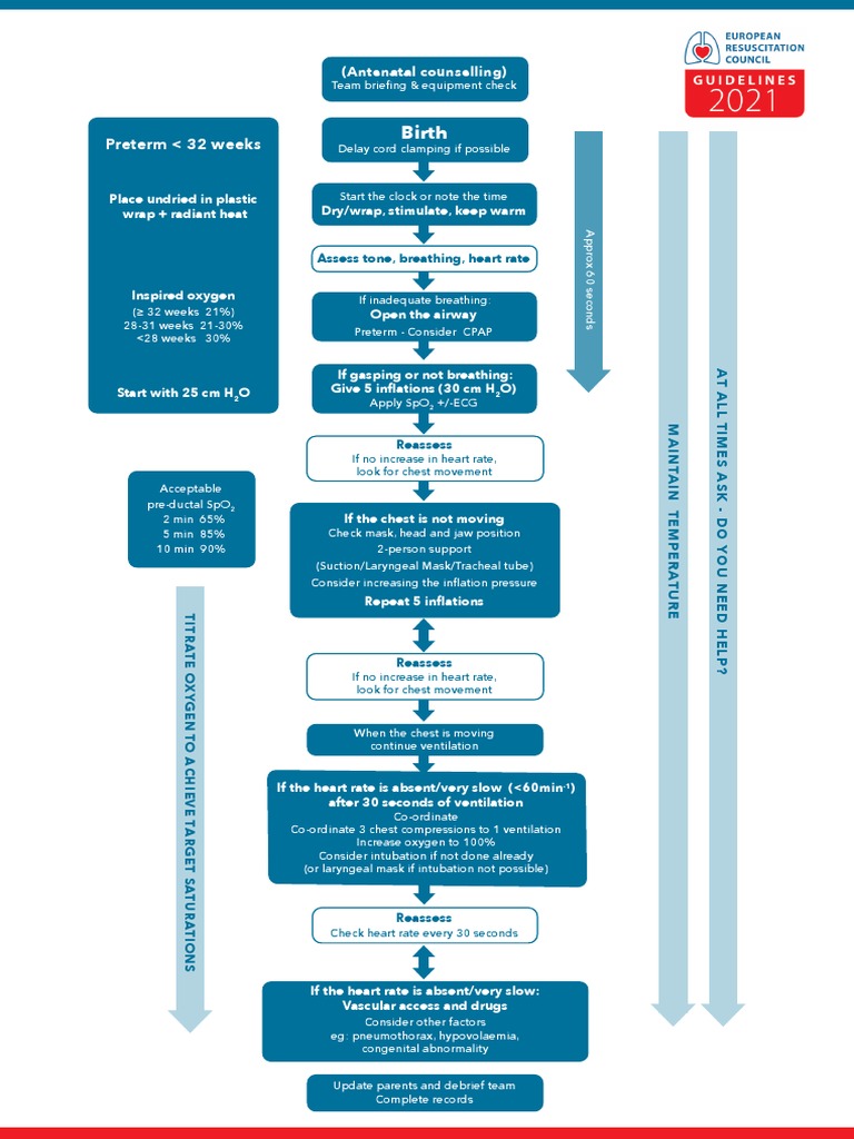 APPROVED NLS Algorithms Portrait 4 - 2021 03 23 153459 | PDF ...