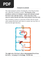 Blood and Circulation, iGCSE Biology | PDF | Circulatory System ...