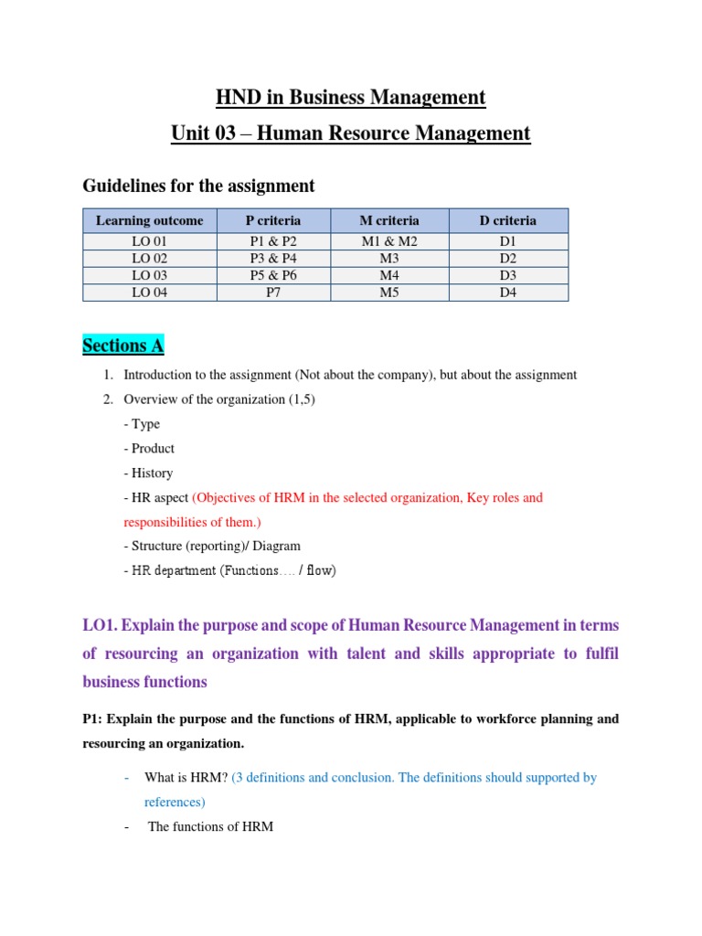 HRM Assignment Guideline | PDF | Human Resource Management | Recruitment