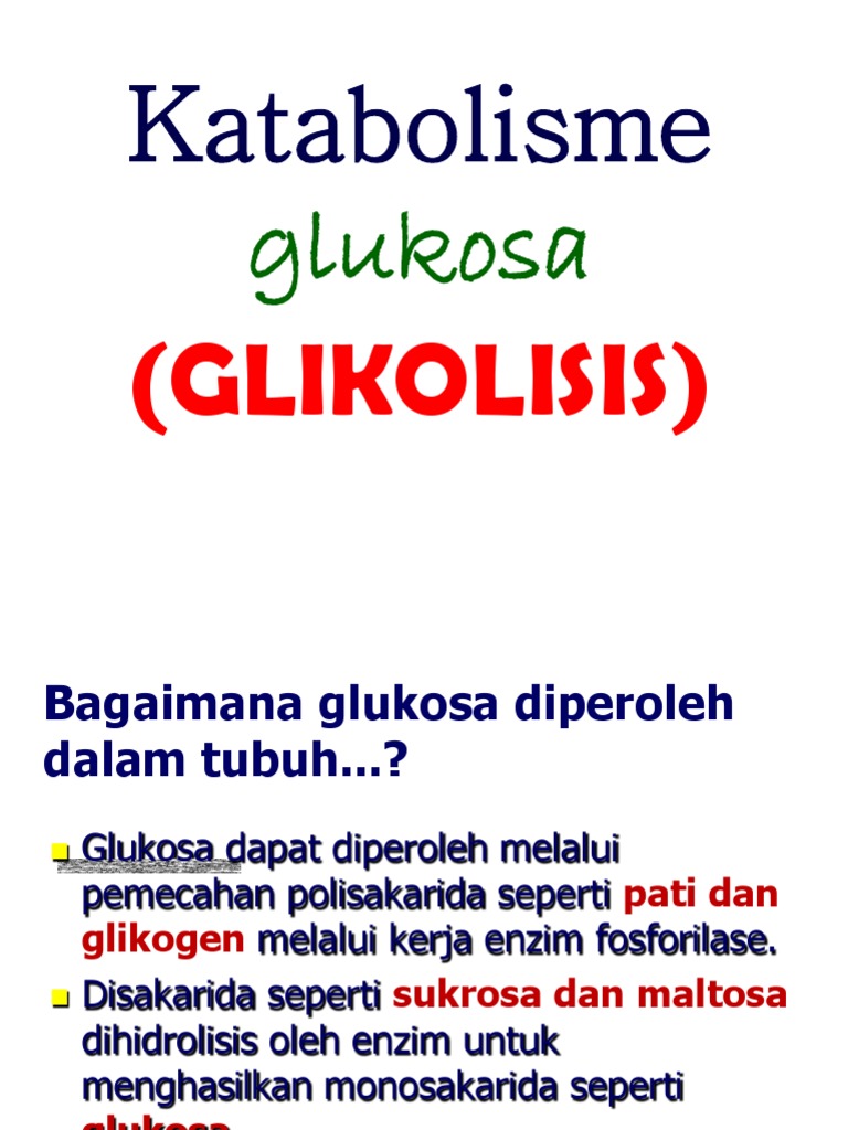 5 Glikolisis | PDF