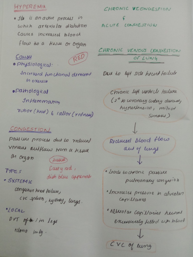 Hyperemia and Congestion Pathology Notes | PDF | Organ (Anatomy) | Abdomen