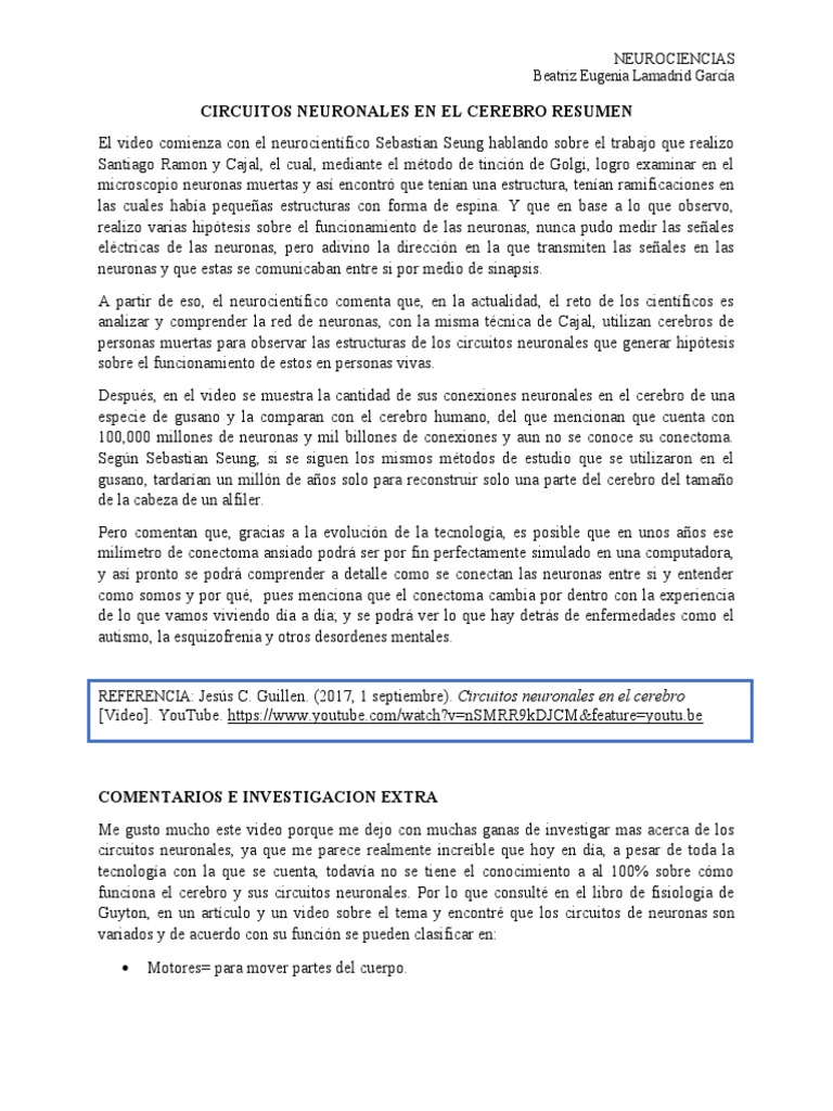 Circuitos Neuronales y Conectoma | PDF | Neurona | Sinapsis