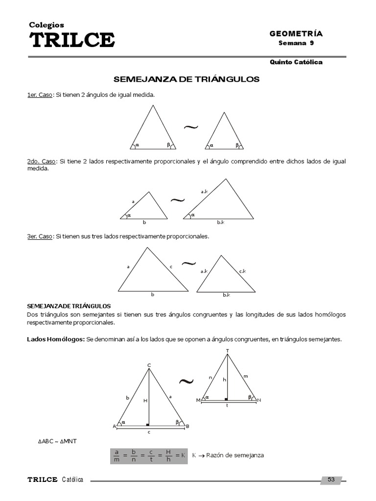 09 Semejanza de Triangulos | PDF | Triángulo | Geometría triangular