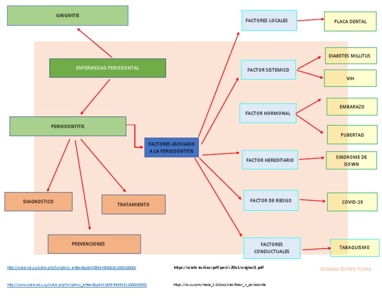 Mapa Conceptual Corregido | PDF | Cuidado de la salud | Enfermedades y trastornos humanos