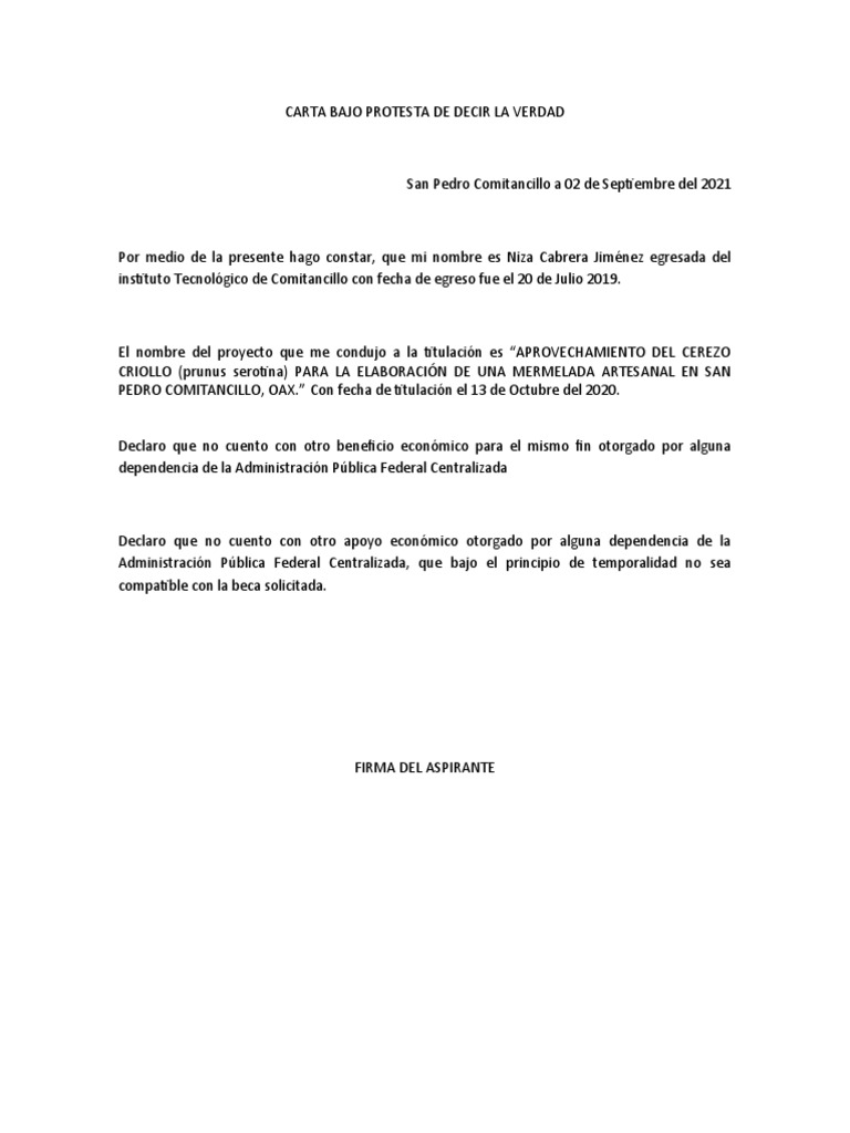 Carta Bajo Protesta de Decir Verdad | PDF