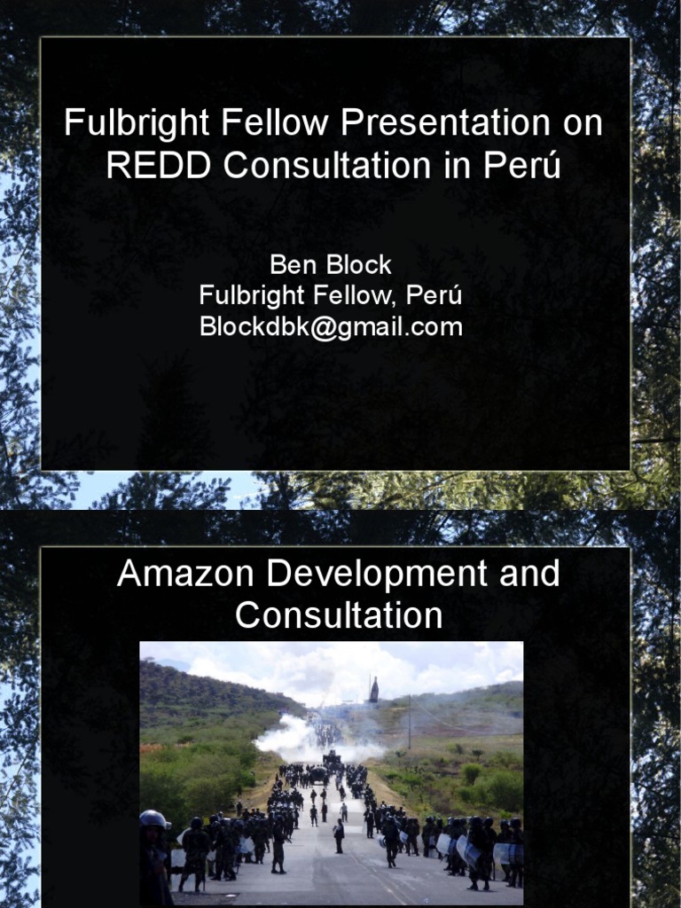 Ben Block Presentation To USAID | PDF | Reducing Emissions From ...