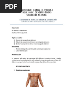 Maniobra de Mathieu en Exploración Abdominal | PDF | Abdomen | Bazo