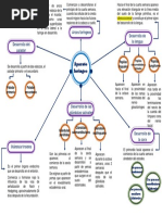 Mapa Conceptual, Tipos de Neurona | PDF | Neurona | Axon