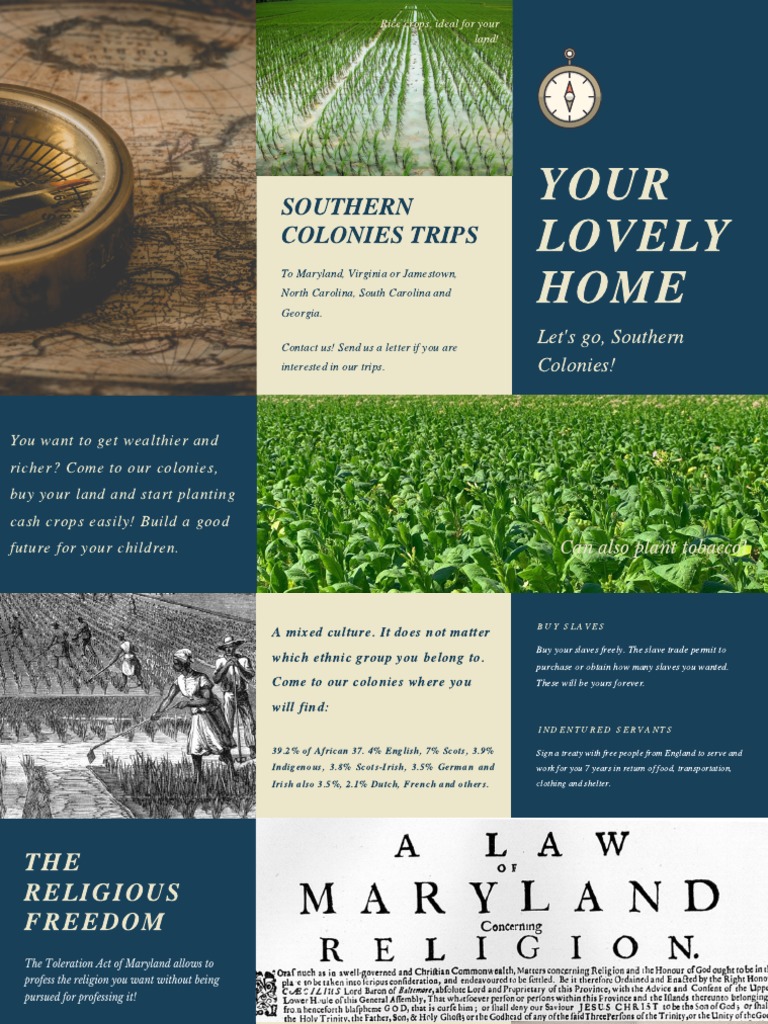 History Brochure | PDF | Slavery | Southern United States