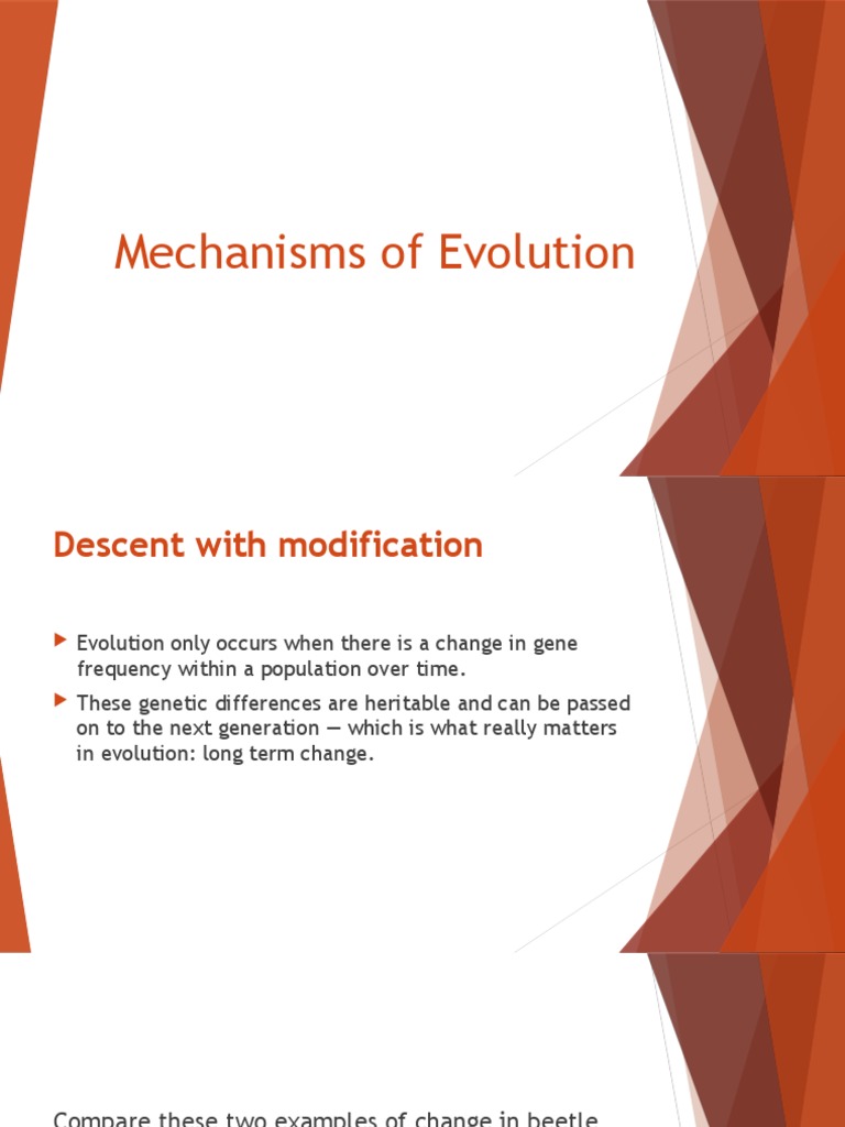 Mechanisms of Evolution | PDF | Evolution | Natural Selection