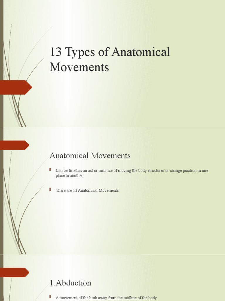 13 Types of Anatomical Movements | PDF | Anatomical Terms Of Motion ...