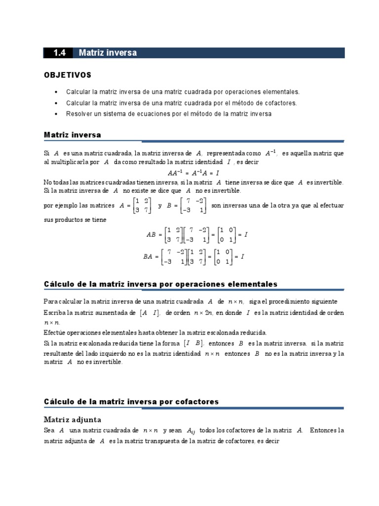 Cálculo de Matriz Inversa y Aplicaciones | PDF | Matriz (Matemáticas ...