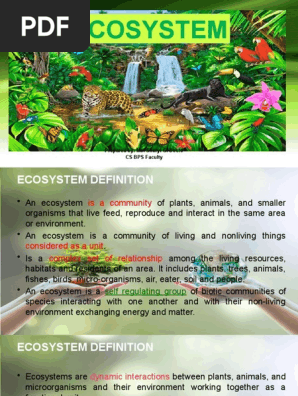 Ecosystem Definition