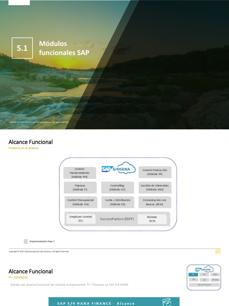 Modulos Sap s4 Hana | PDF | Contabilidad | Bancos