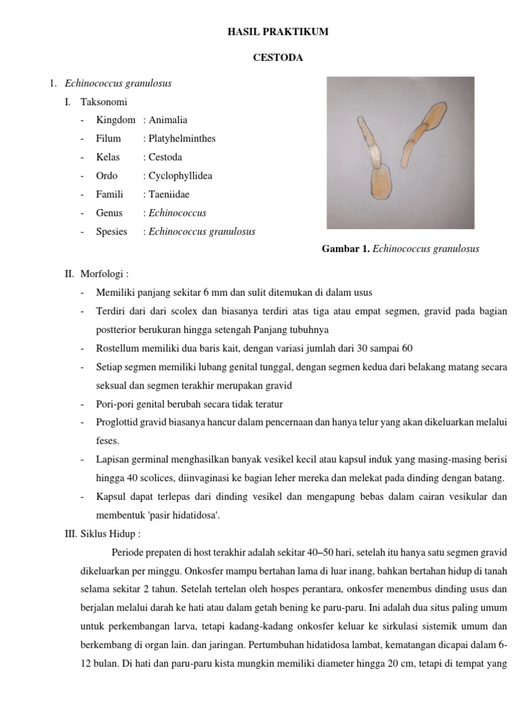 Taksonomi dan Morfologi Cestoda | PDF | Sains & Matematika