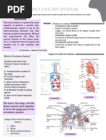 Overview of the Circulatory System | PDF | Blood Vessel | Heart