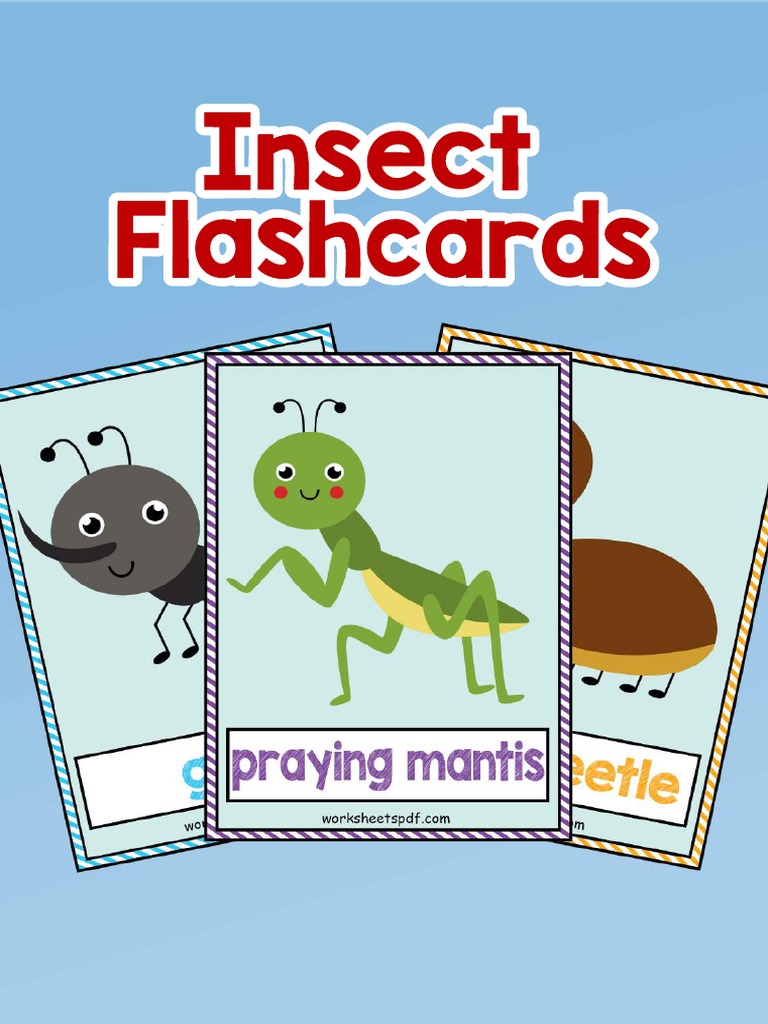 Insect Flashcards Compressed | PDF | Foreign Language Studies | Young Adult