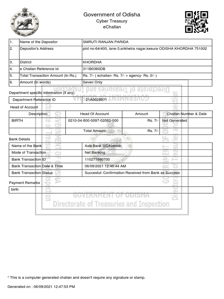 Government of Odisha: Echallan Cyber Treasury | PDF