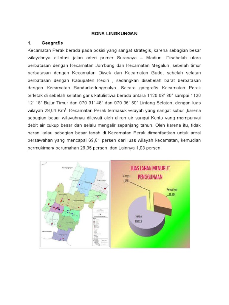 LINGKUNGAN GEOGRAFI DAN DEMOGRAFI KECAMATAN PERAK | PDF