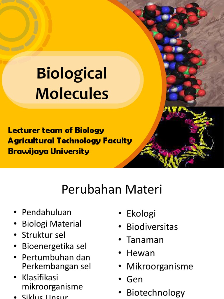 Biological Molecules Overview | PDF | Carbohydrates | Biomolecules