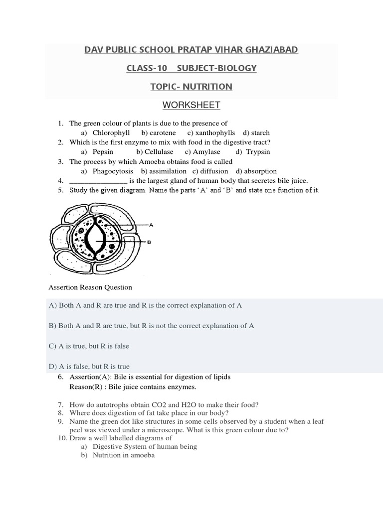 Class 10 Biology Nutrition Worksheet | PDF | Science & Mathematics ...