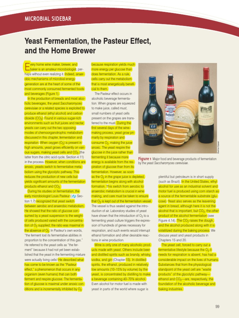 Lectura 3 - Yeast Fermentation, The Pasteur Effect | PDF | Yeast ...