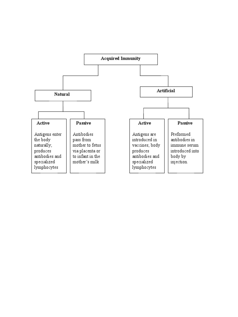Four Types of Acquired Immunity | PDF