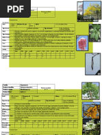 Ficha de Vegetacion | PDF | Arboles | Hoja